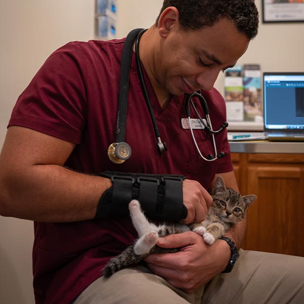 Request an Appointment | Fulton County Veterinary Clinic